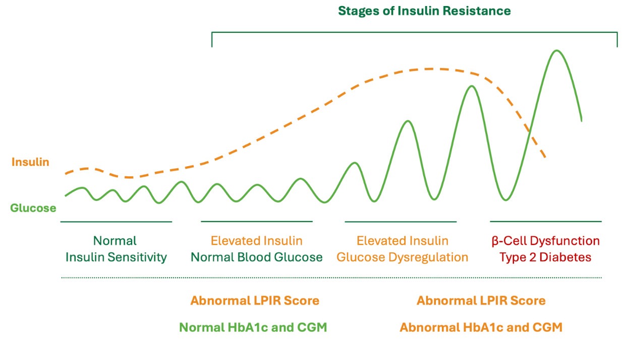 Insulin Resistance Is a Stronger Risk Factor of Cardiovascular Disease ...