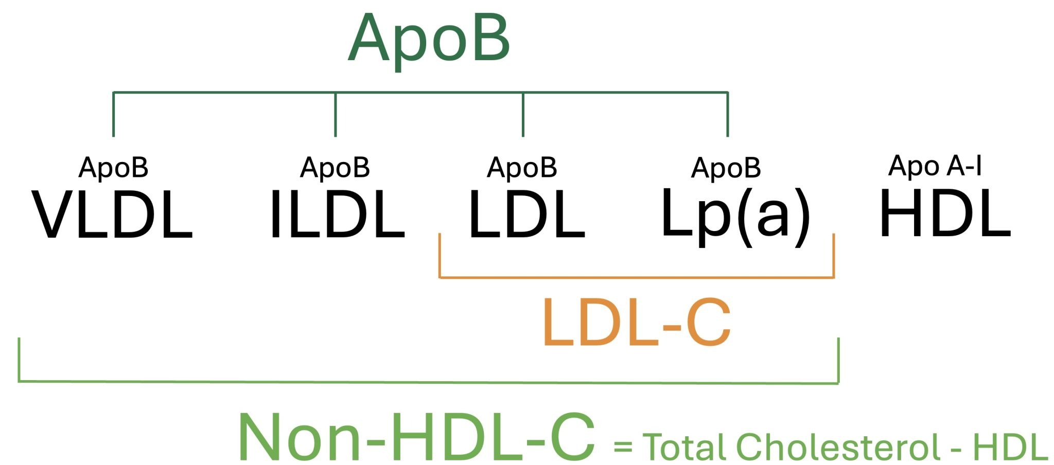 Why LDL-C, Hemoglobin A1c, and Continuous Glucose Monitors Are Not ...